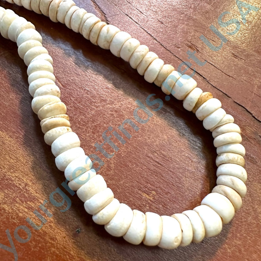Hawaiian Puka Shells Vintage genuine necklace choker anklet ...